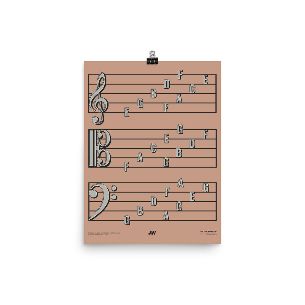 Treble Clef, Alto Clef, Bass Clef Note Names Poster, Pink – Gliss Prints